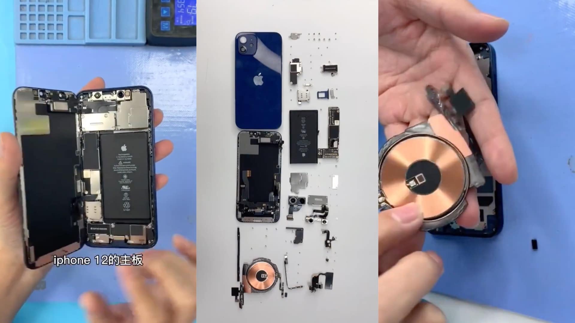 Iphone 12 Teardown | iPhone 11 Pro Teardown – ELZYL