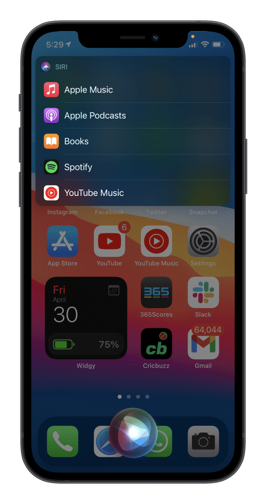 How to Set Your Preferred Music Streaming App on iPhone Using Siri ...