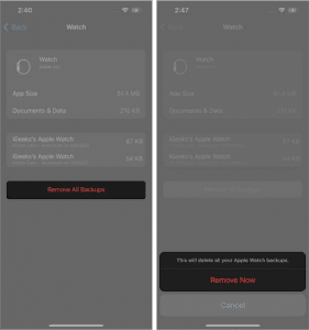 Apple Watch Backup: How to Backup Your Apple Watch Easily